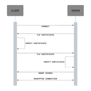 The Code Library | Implementing mTLS in Go
